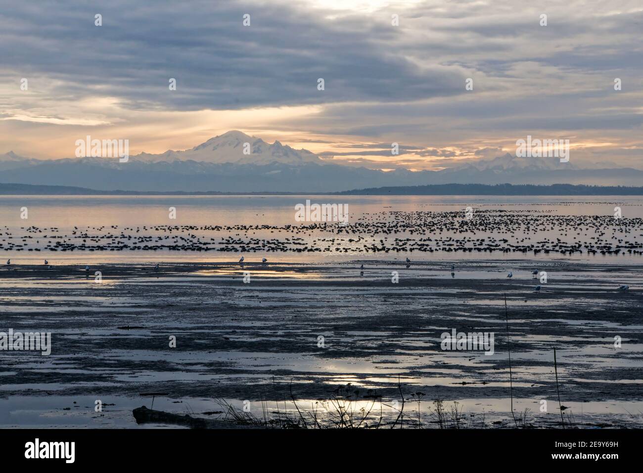 Boundary bay hi-res stock photography and images - Alamy