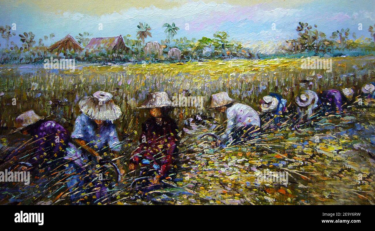 Rice drawing hi-res stock photography and images - Alamy
