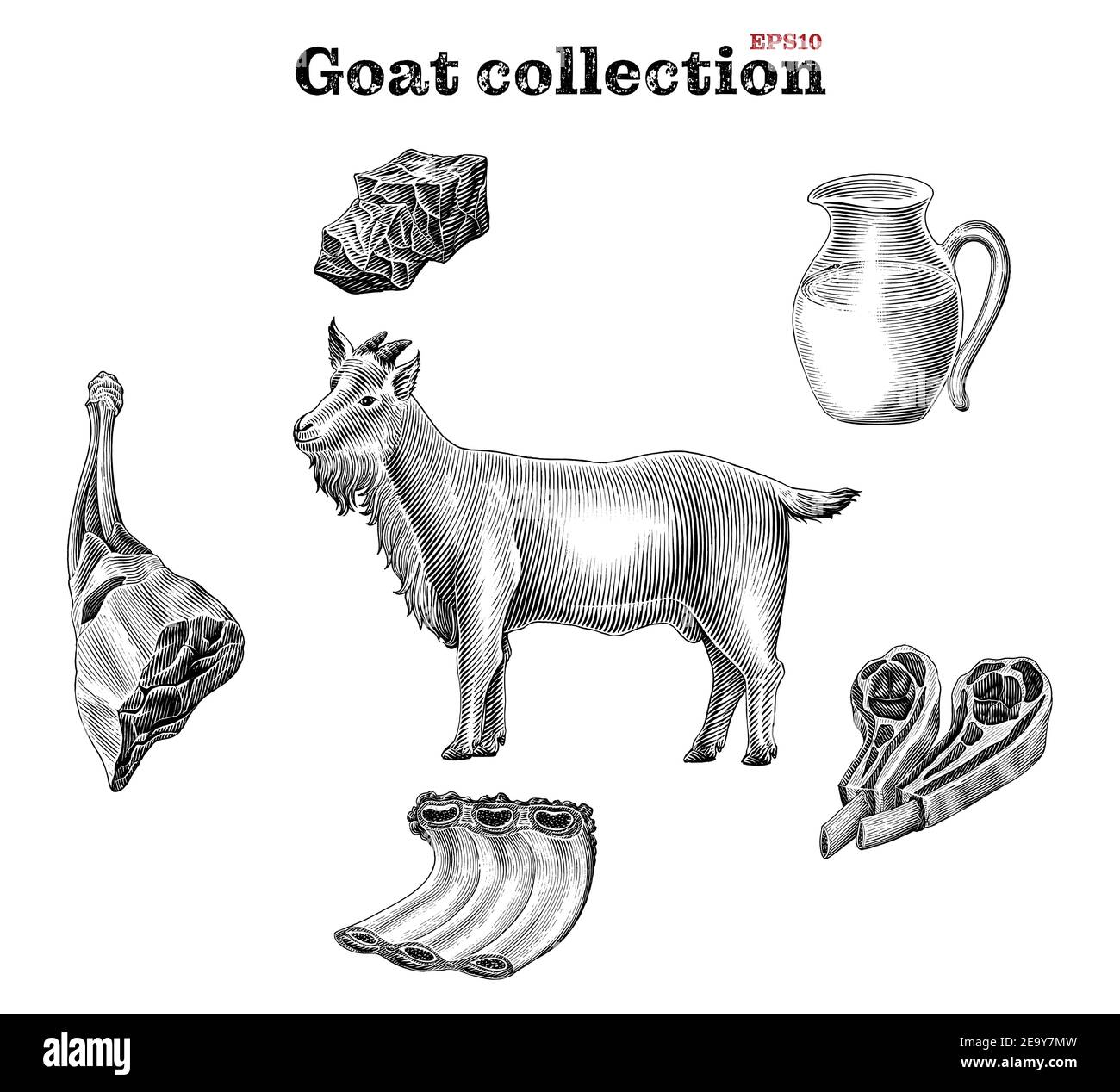 Goat collection hand draw vintage engraving style clip art isolated on ...