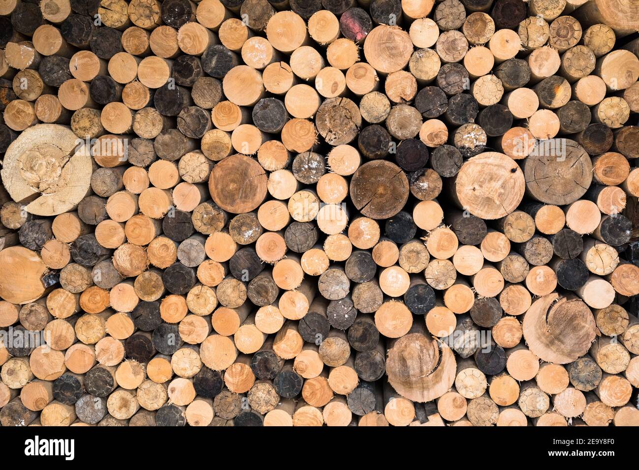 Pile chopped birch wood hi-res stock photography and images - Alamy