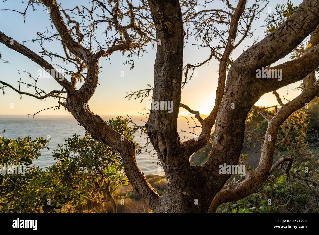 Scenes from the lost coast Stock Photo - Alamy