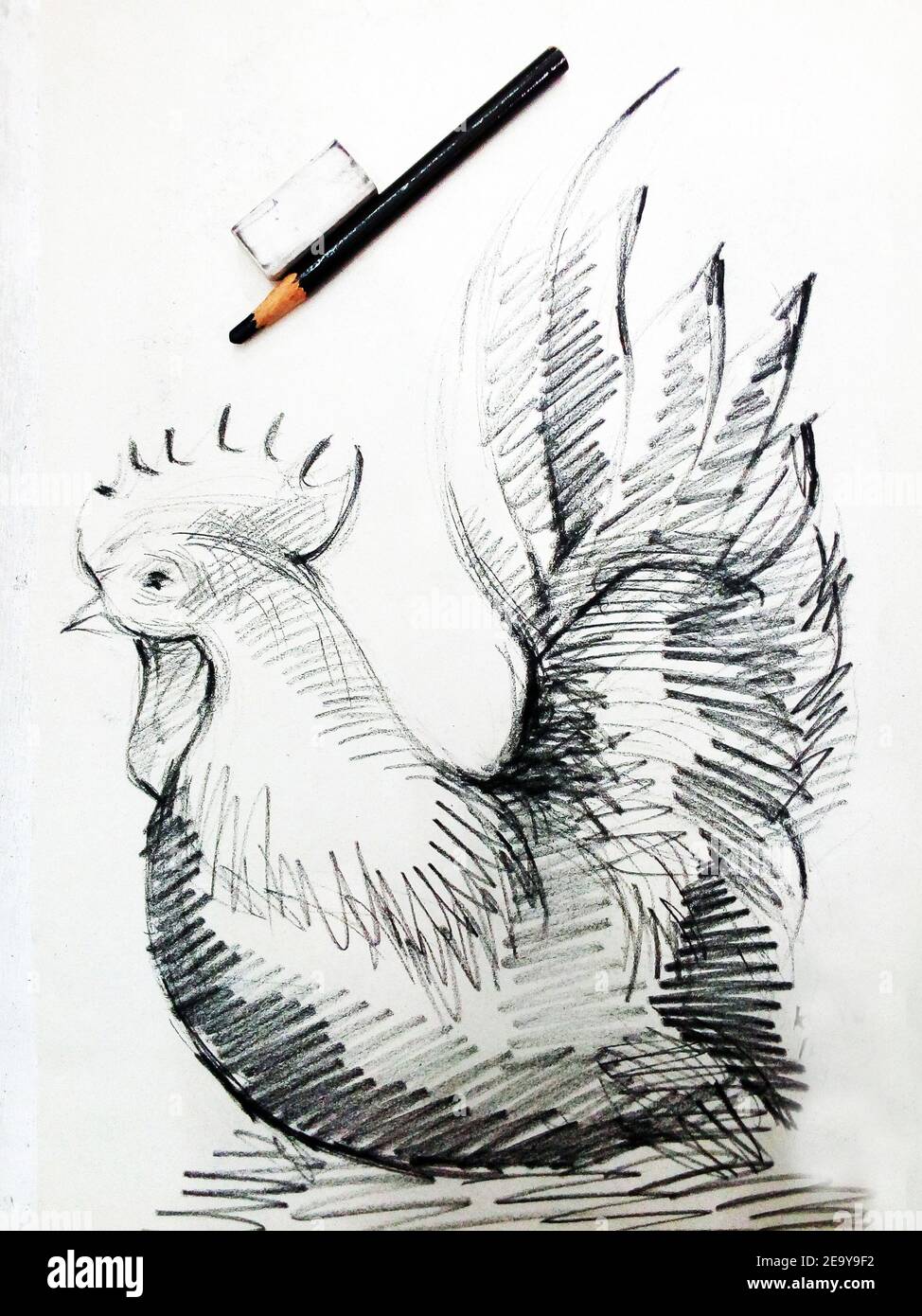 art, drawing ,backgrounds for design , drawing hen , bantam Stock Photo ...