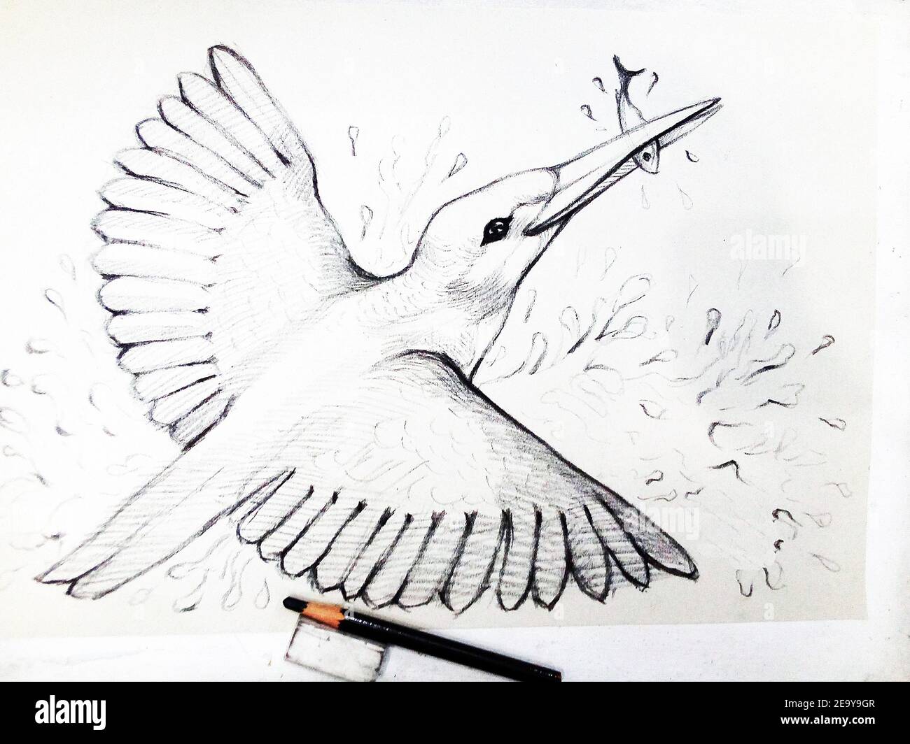 art, backgrounds for design drawing bird from thailand Stock Photo - Alamy