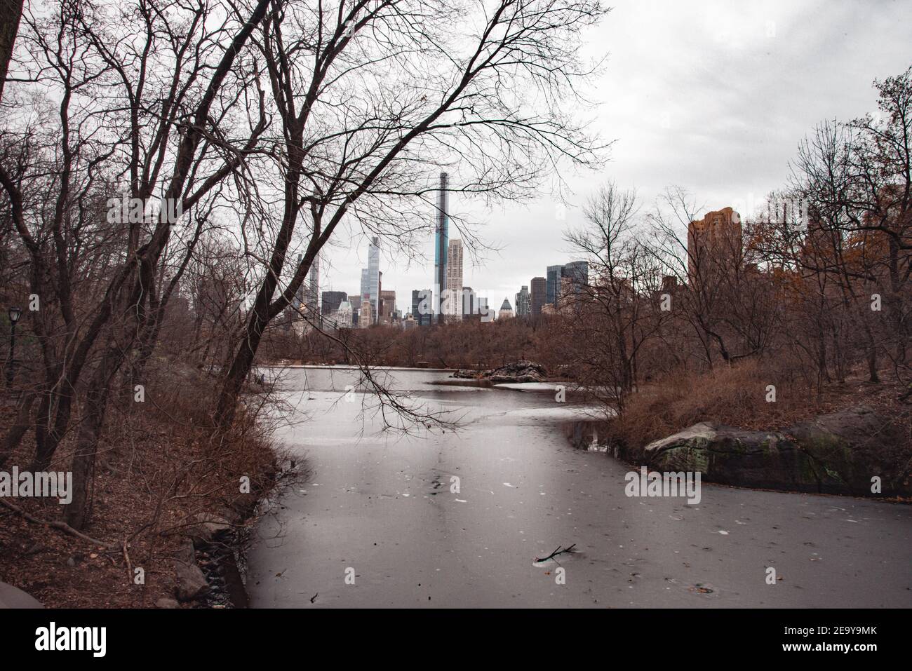 Frozen lake surrounded by trees in a park Stock Photo - Alamy
