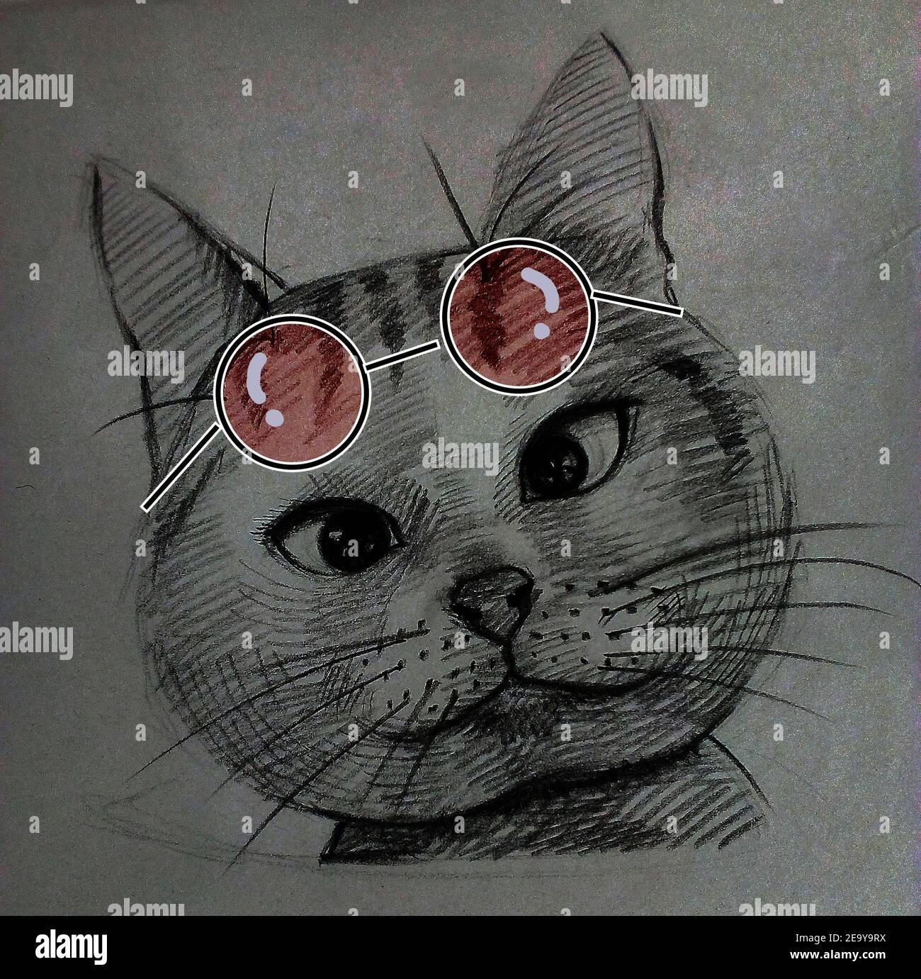 Cat glasses not sunglasses hi-res stock photography and images - Alamy