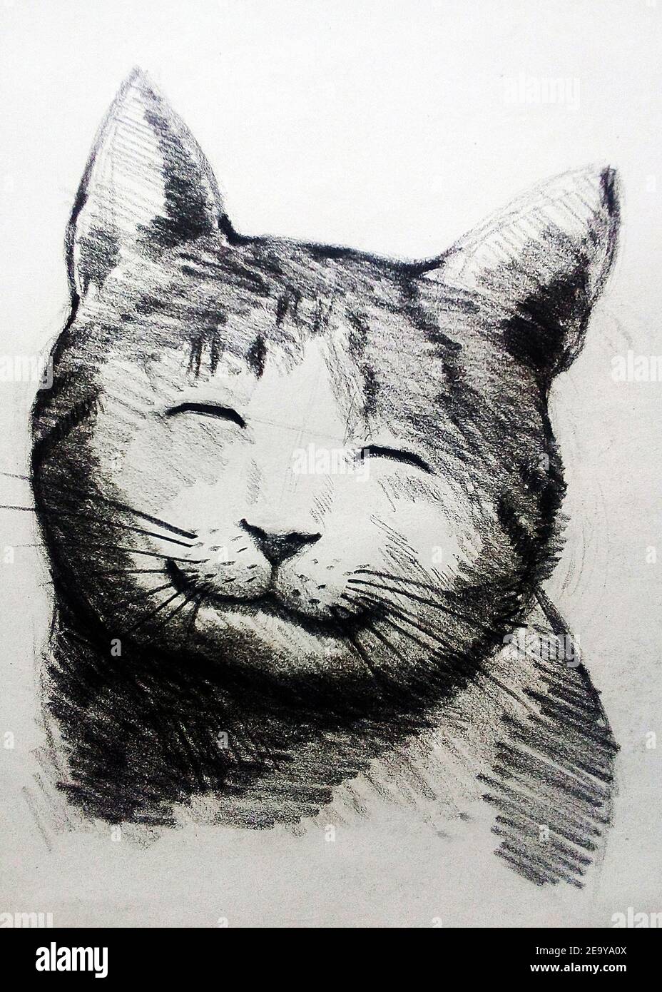 Fine Art Pencil Drawings