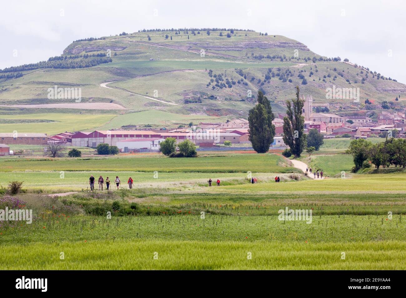 Pilgrims walking the Camino de Santiago way of St James Spanish pilgrim ...