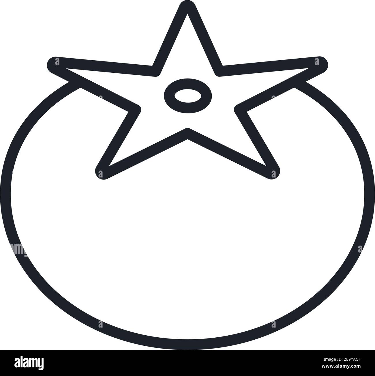 Tomato icon. Vector linear icon, contour, shape, outline isolated on a ...