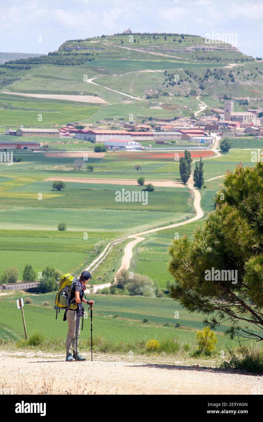 Pilgrims walking the Camino de Santiago way of St James Spanish pilgrim ...