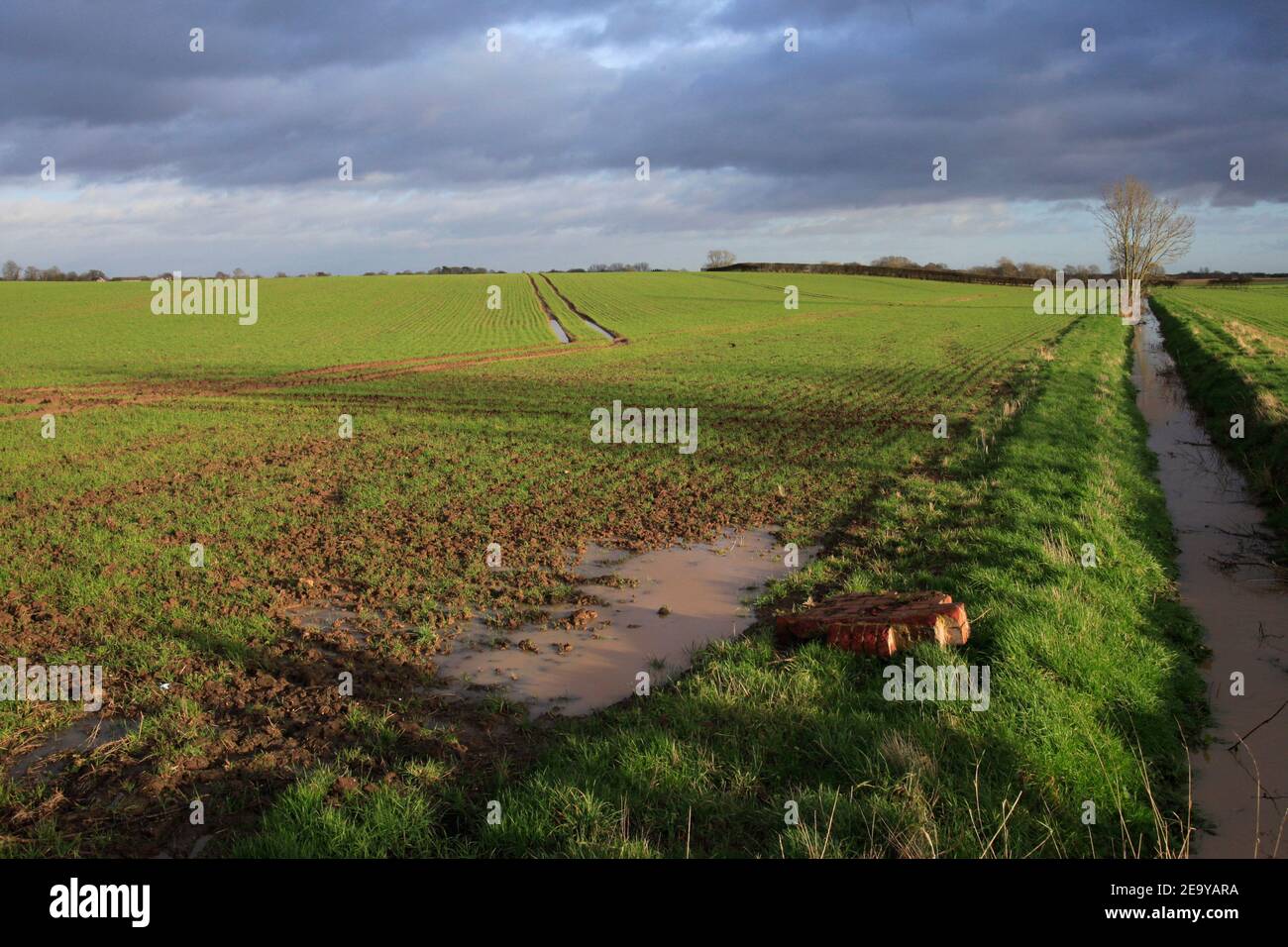 Leconfield hi-res stock photography and images - Alamy