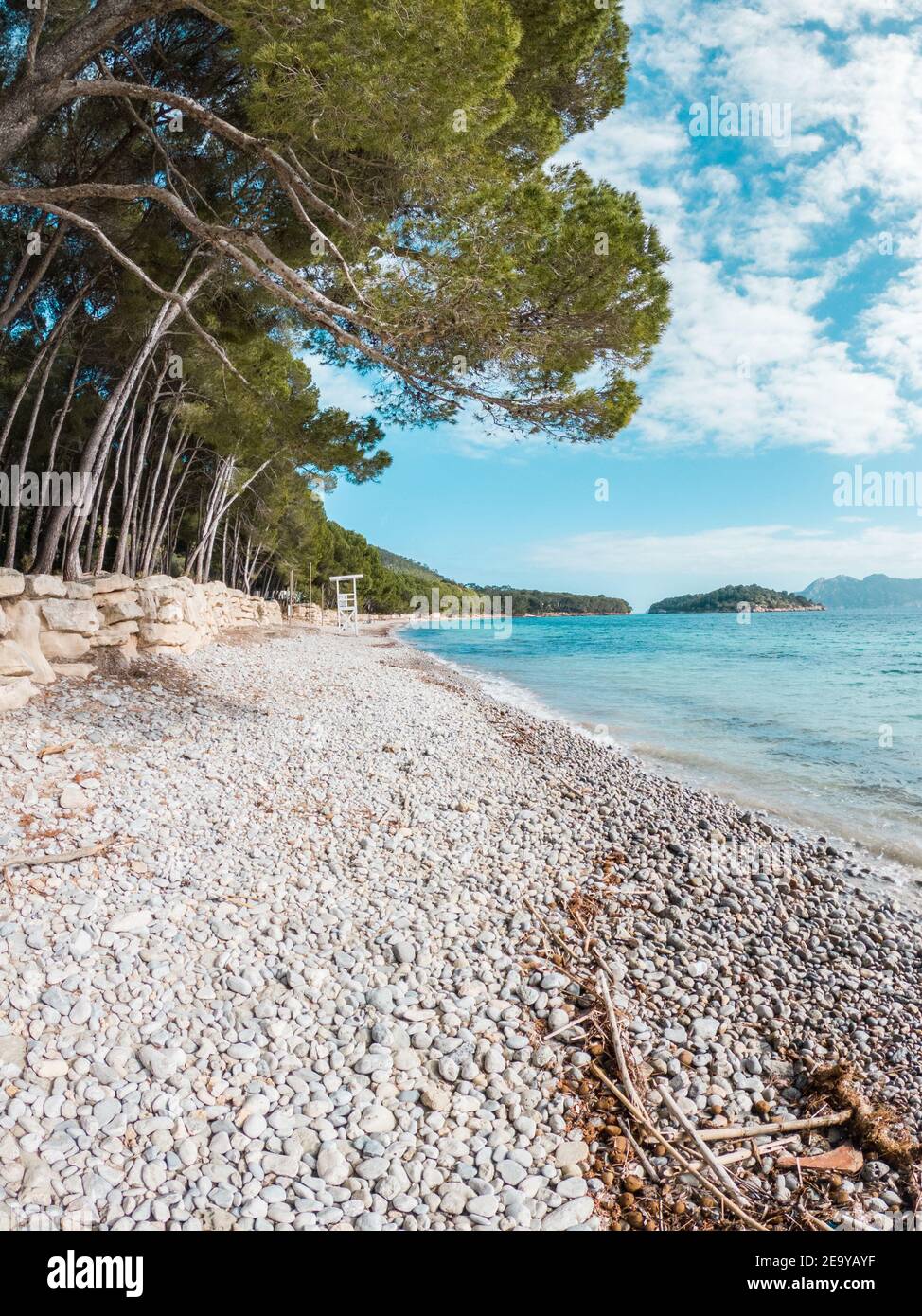 Mediterranean trees hi-res stock photography and images - Alamy