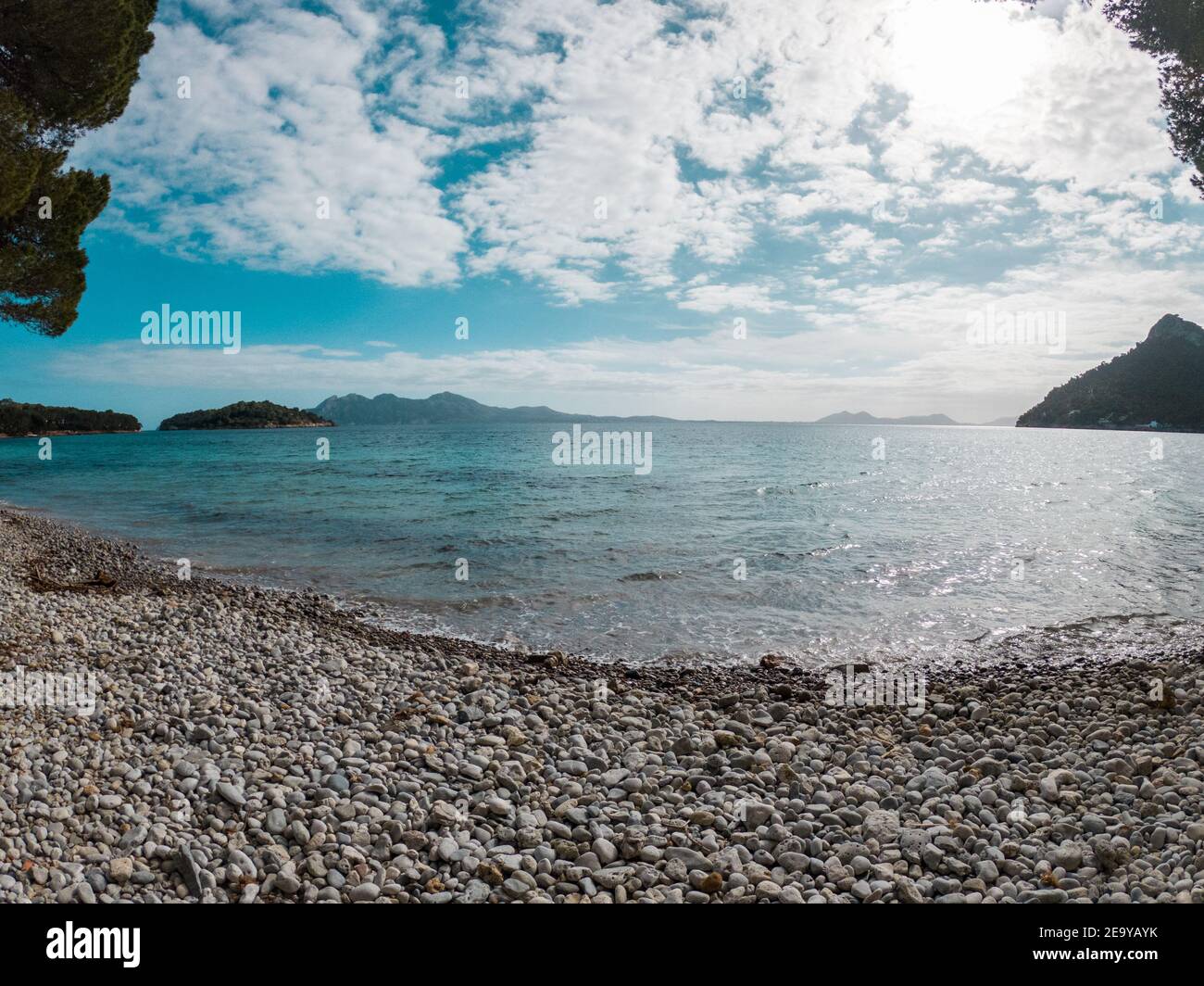 Mediterranean trees hi-res stock photography and images - Alamy