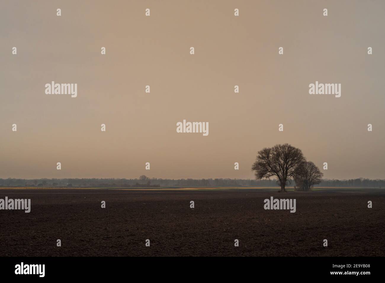 Sahara dust in the atmosphere provides diffuse orange light in the sky ...