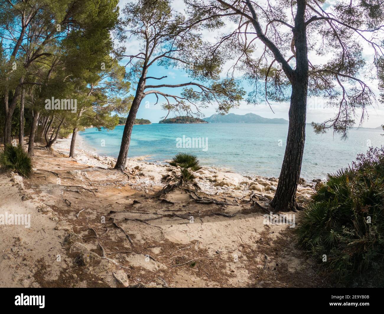 Beautiful virgin beach, withe blue water and mediterranean trees in ...
