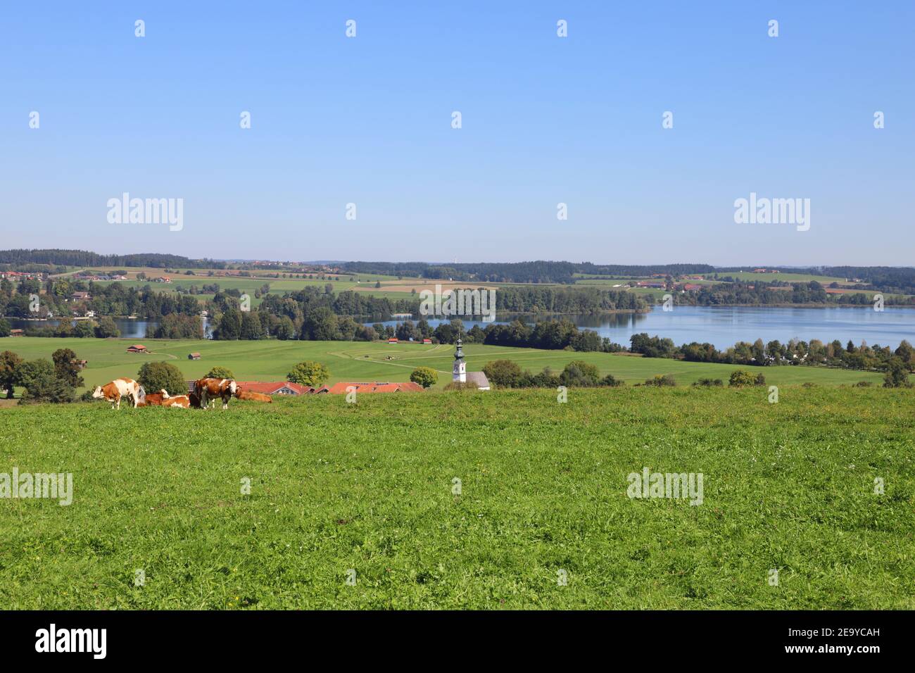 Landscape at Waginger See in Bavaria, Germany Stock Photo - Alamy