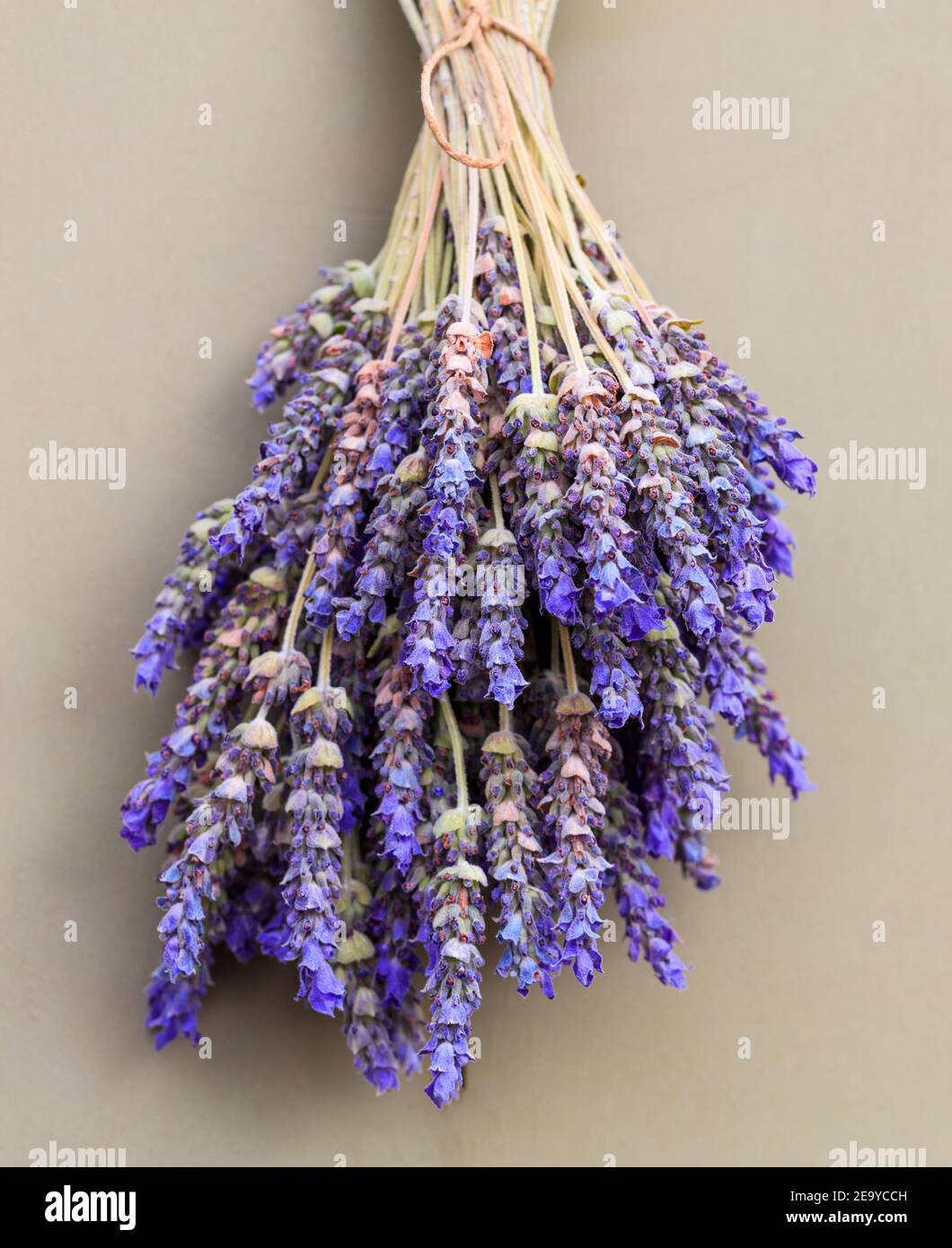 String of flowers hi-res stock photography and images - Alamy