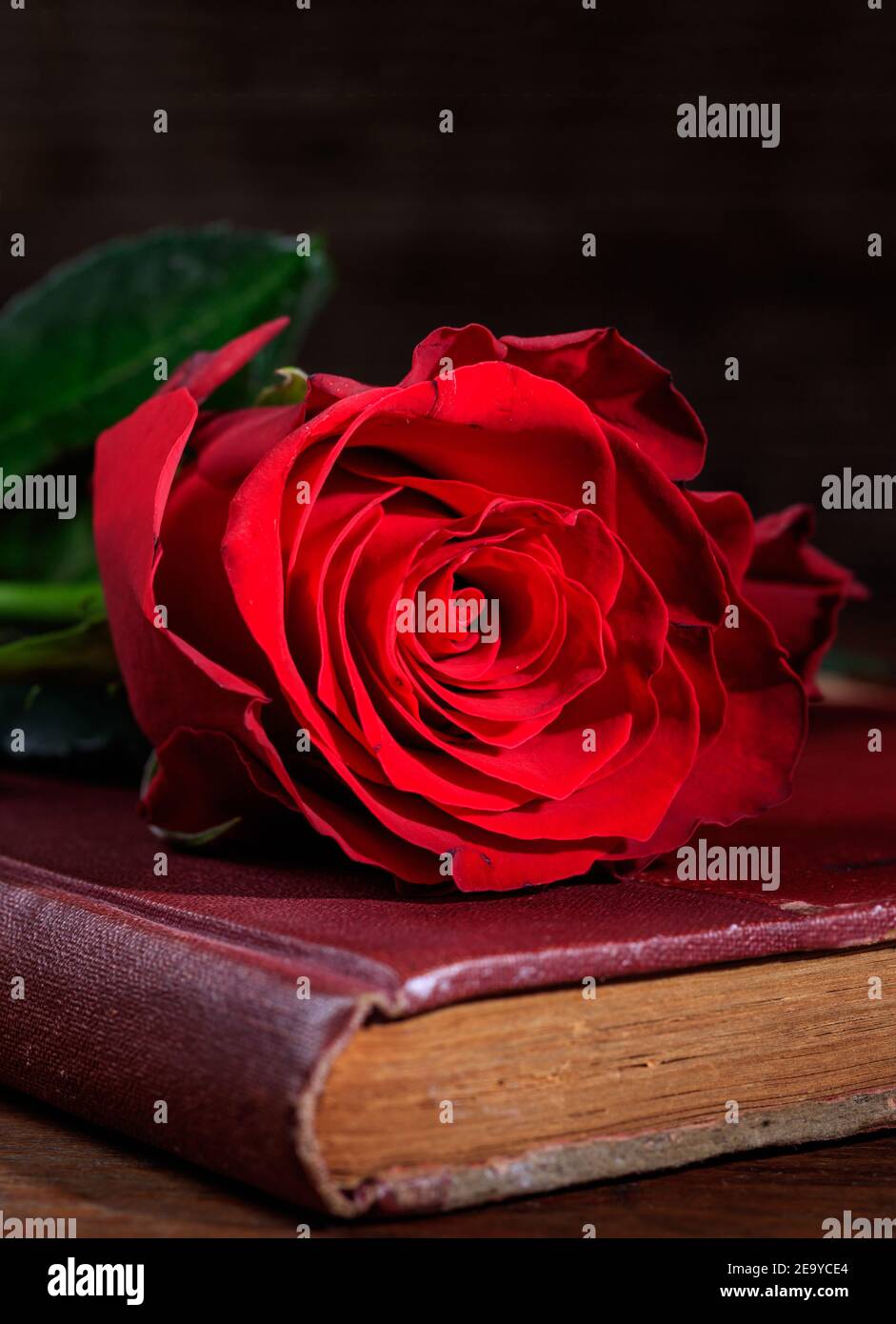 Romance concept. Red rose on vintage closed book, dark background ...