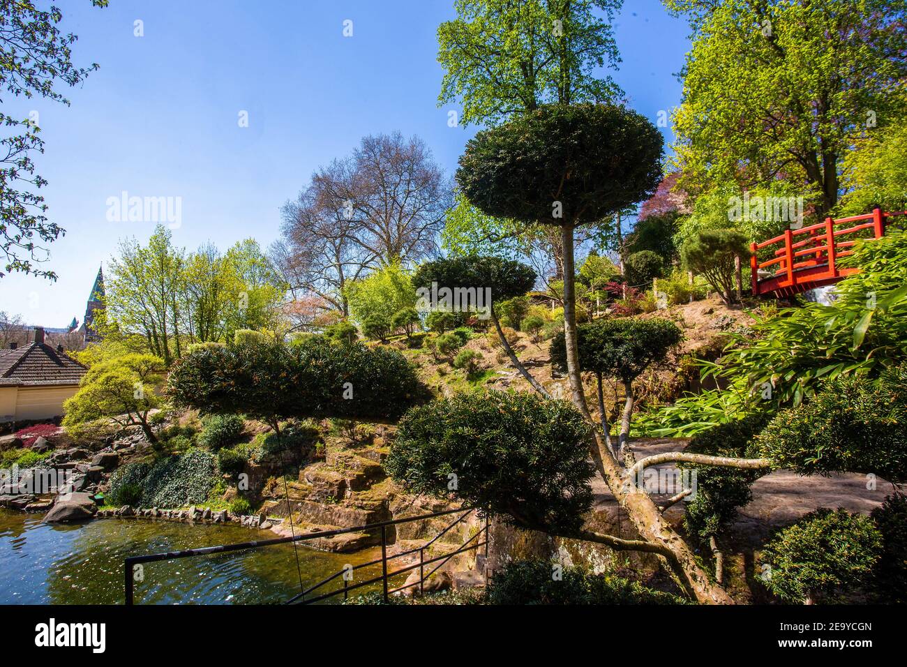 Topiary trees in Kaiserslautern japanese garden. -sunny day in sakura ...