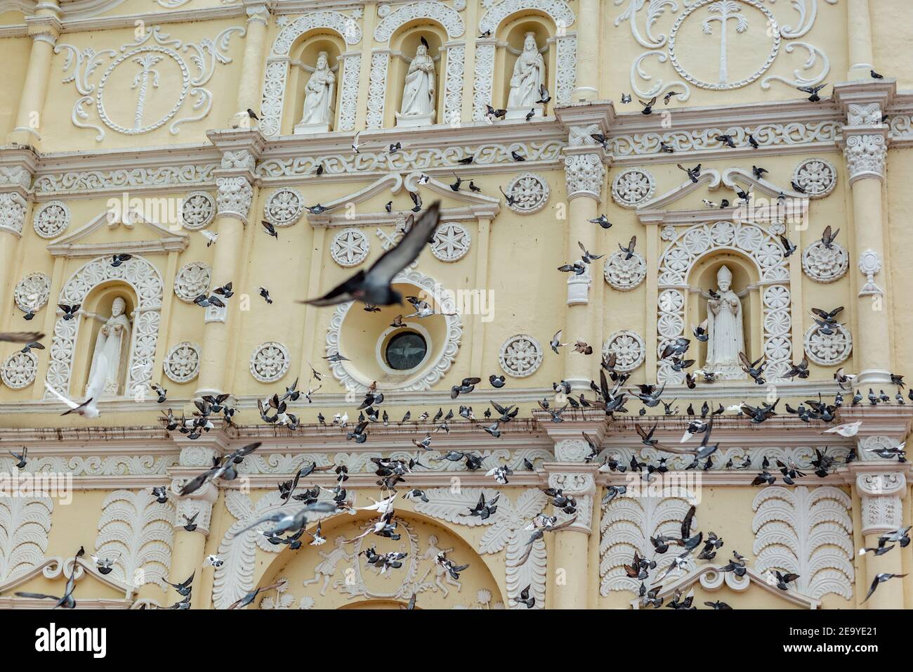 Flock of flying birds on the background of a facade of a historical ...