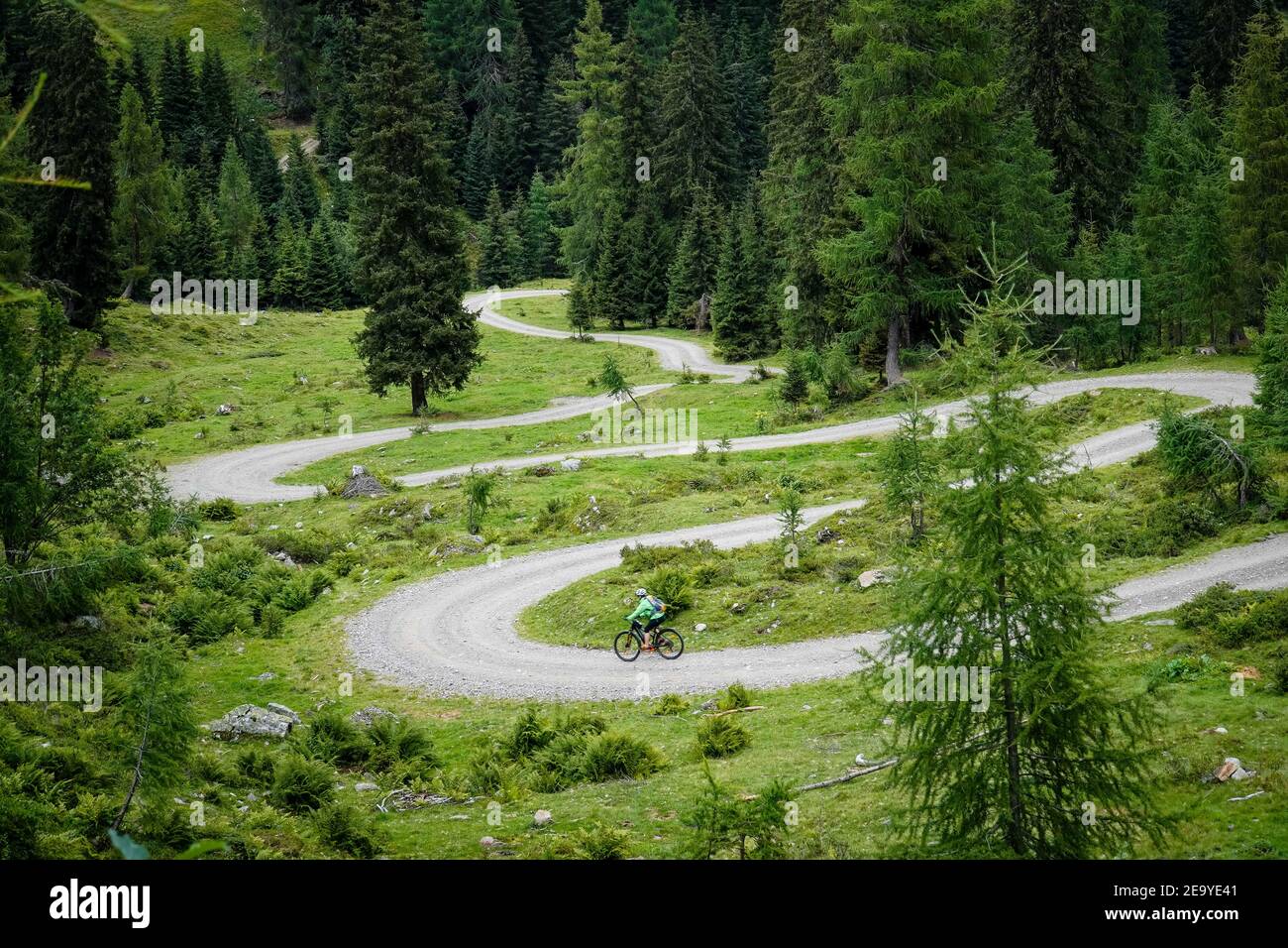 View of trees and a winding path at the slope of a mountain Stock Photo ...