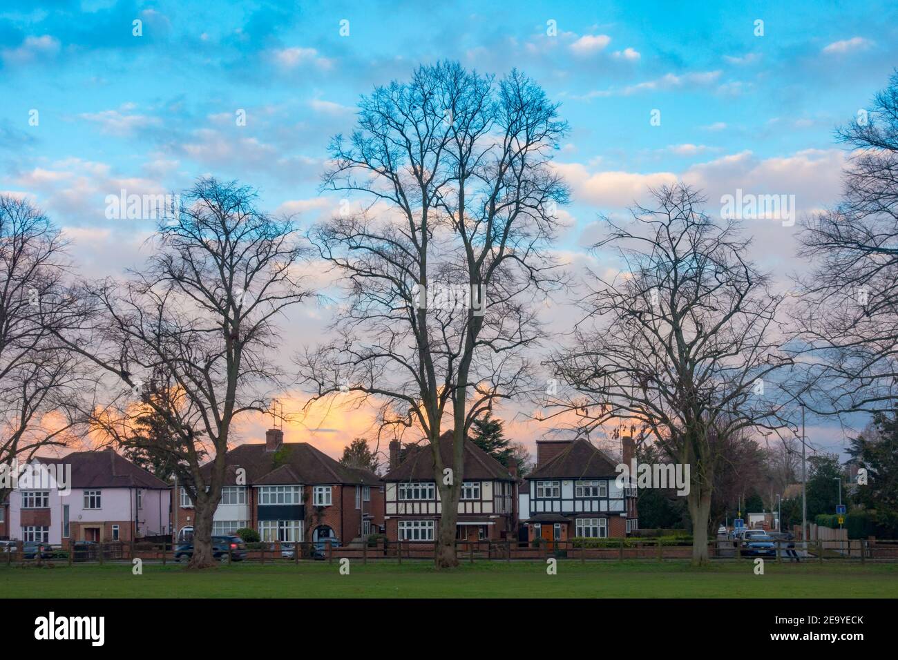 Tree line the edge of Prospect Park with houses on the adjoining road ...