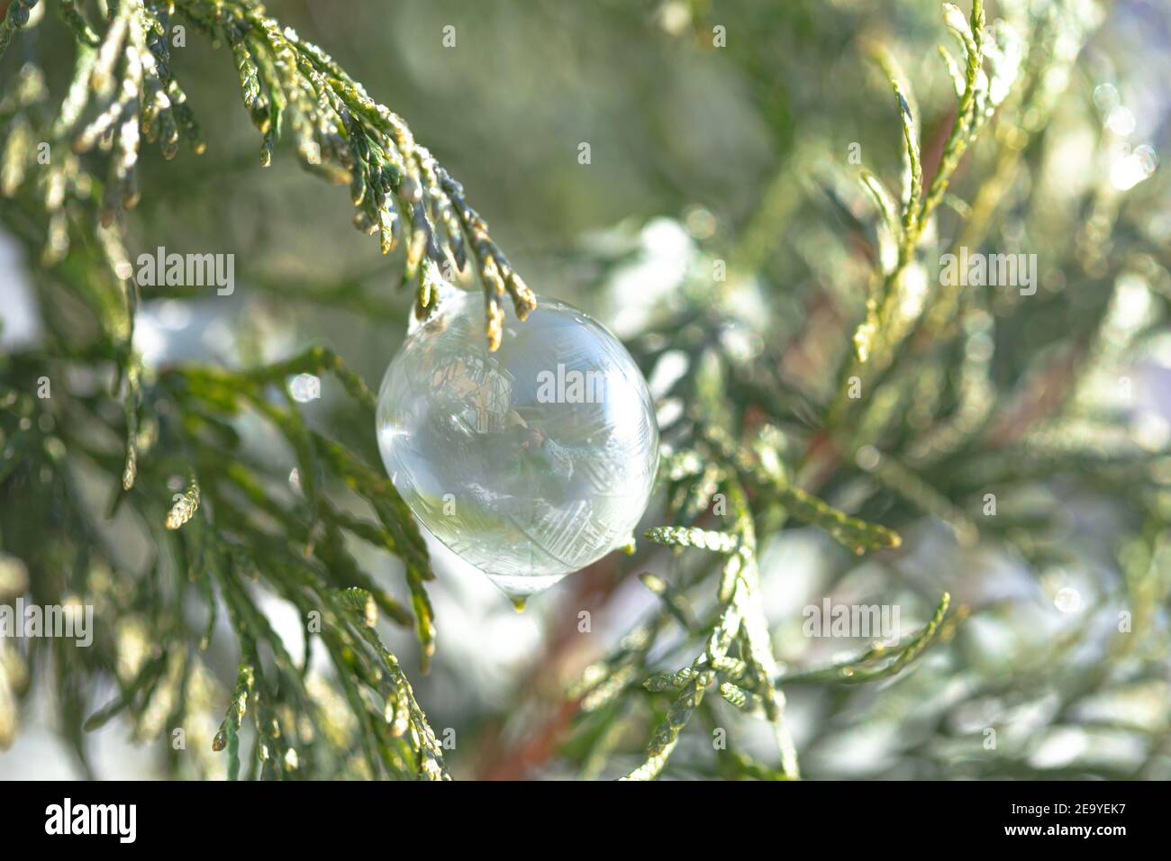Soapbubbles hi-res stock photography and images - Alamy