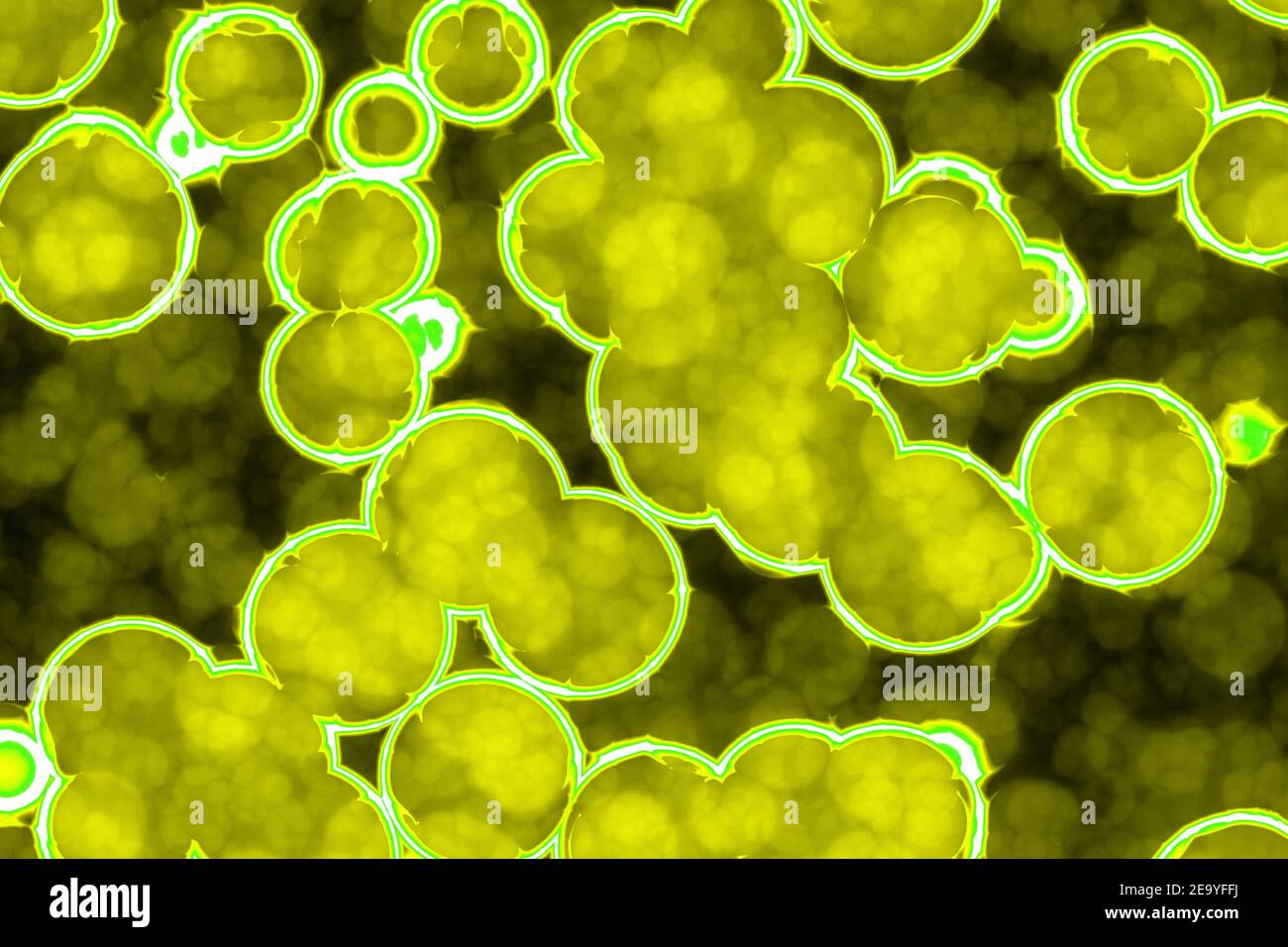 amazing design bright biological phosphorescent glow template digital ...