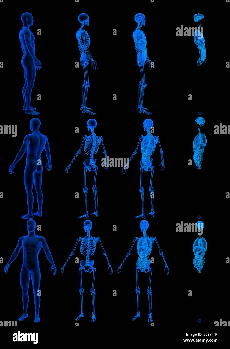 Overlay of skeleton hi-res stock photography and images - Alamy