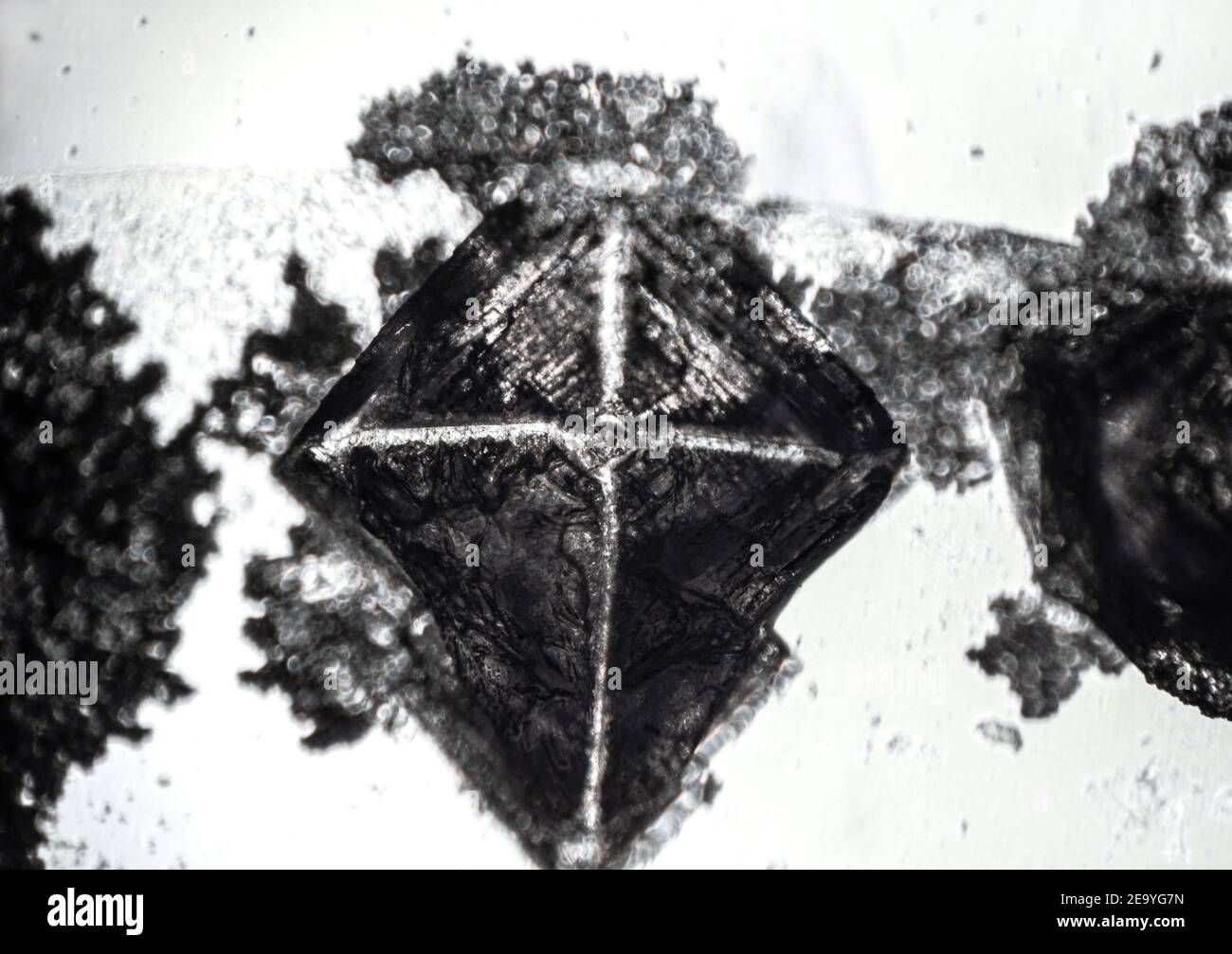 Crystal salt crystals microscope hi-res stock photography and images ...