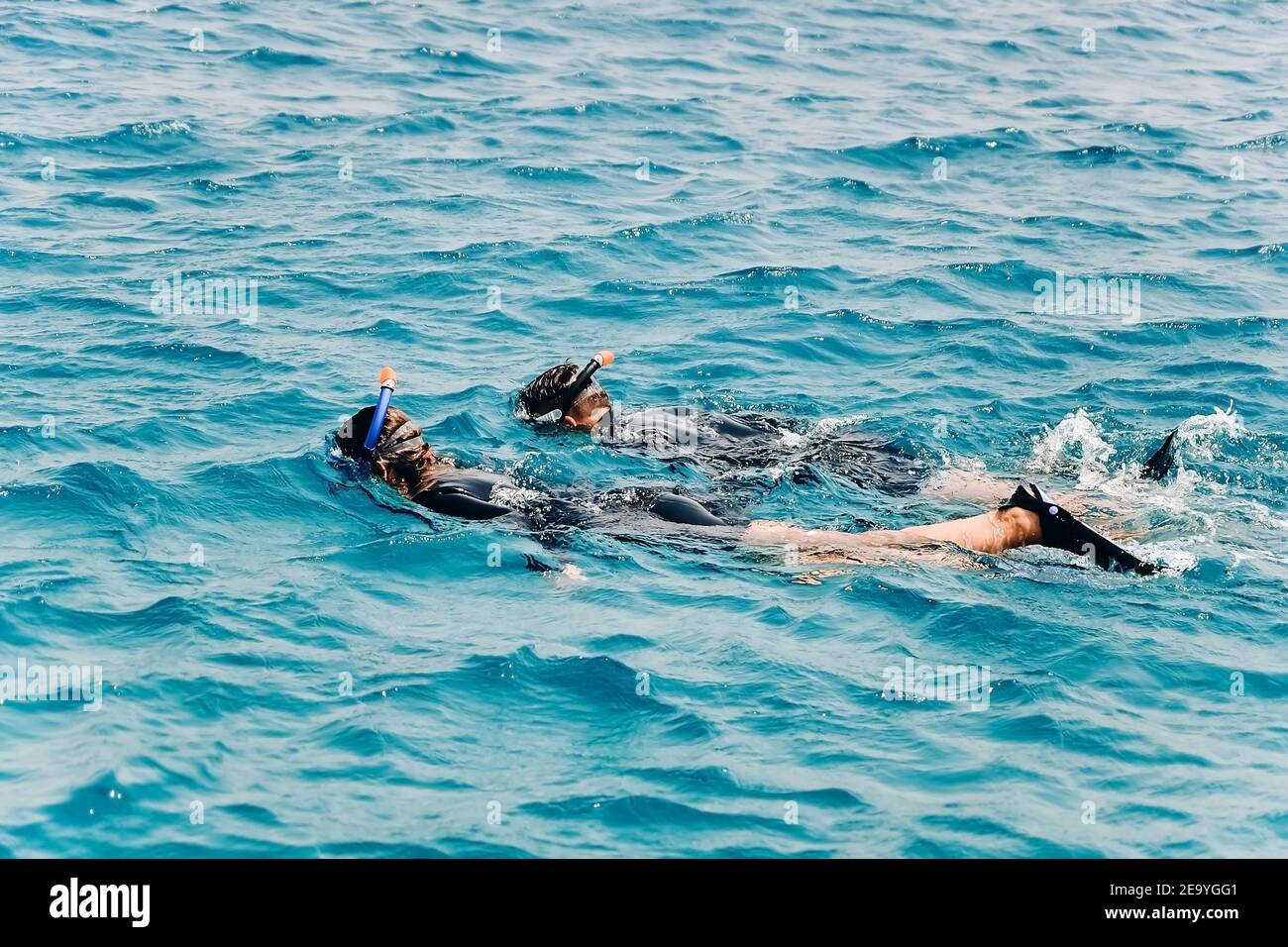 Diving underwater men aquatic hi-res stock photography and images - Alamy