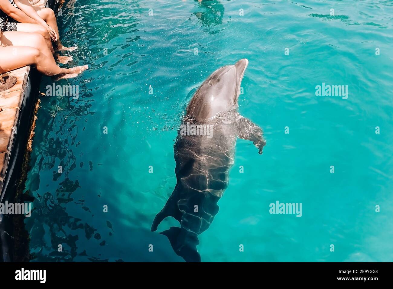 beautiful bright blue water, the texture of the water surface is blue ...