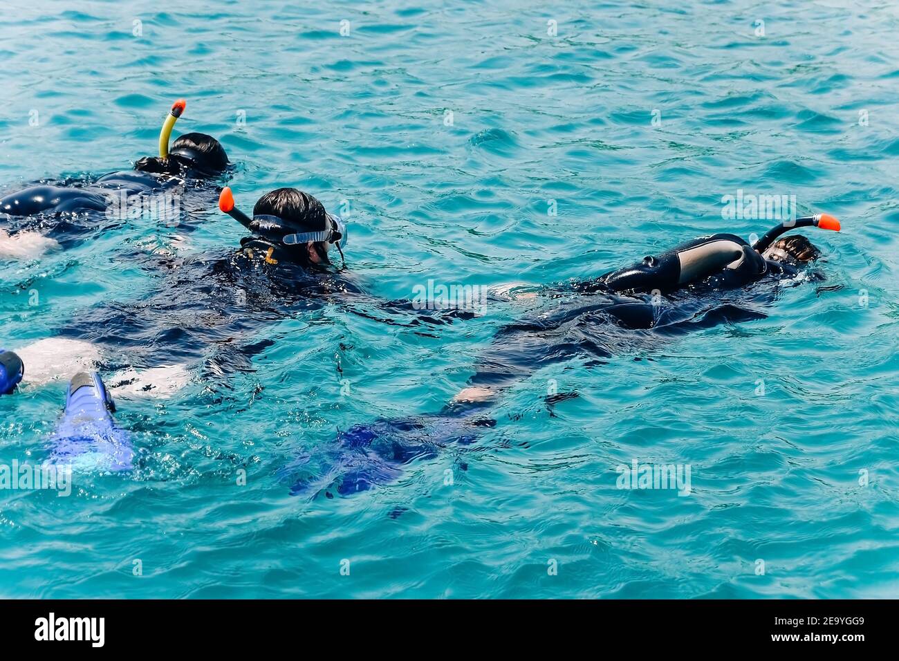 Diving student hi-res stock photography and images - Alamy
