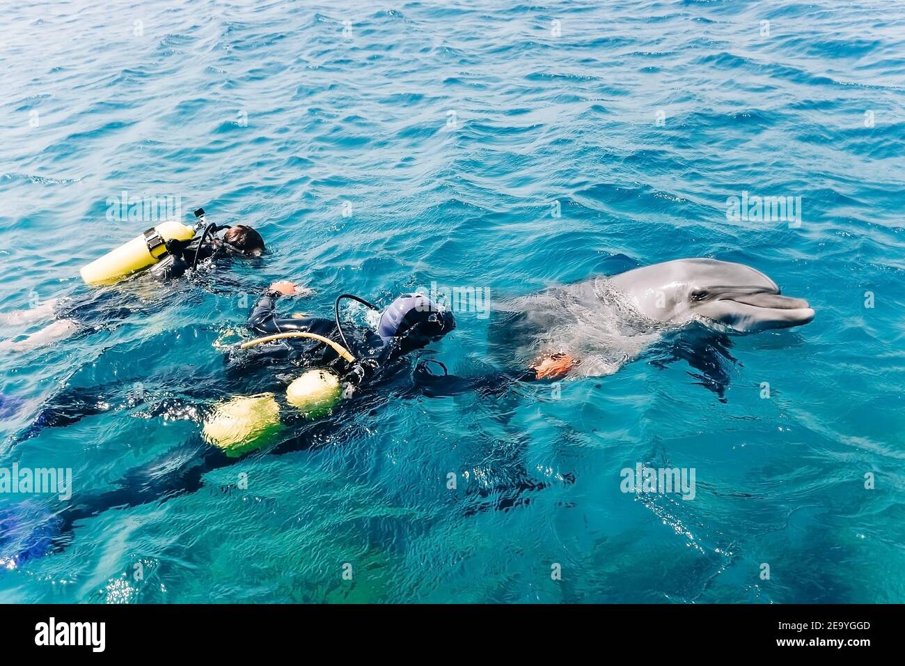 Dolphin suit hi-res stock photography and images - Alamy