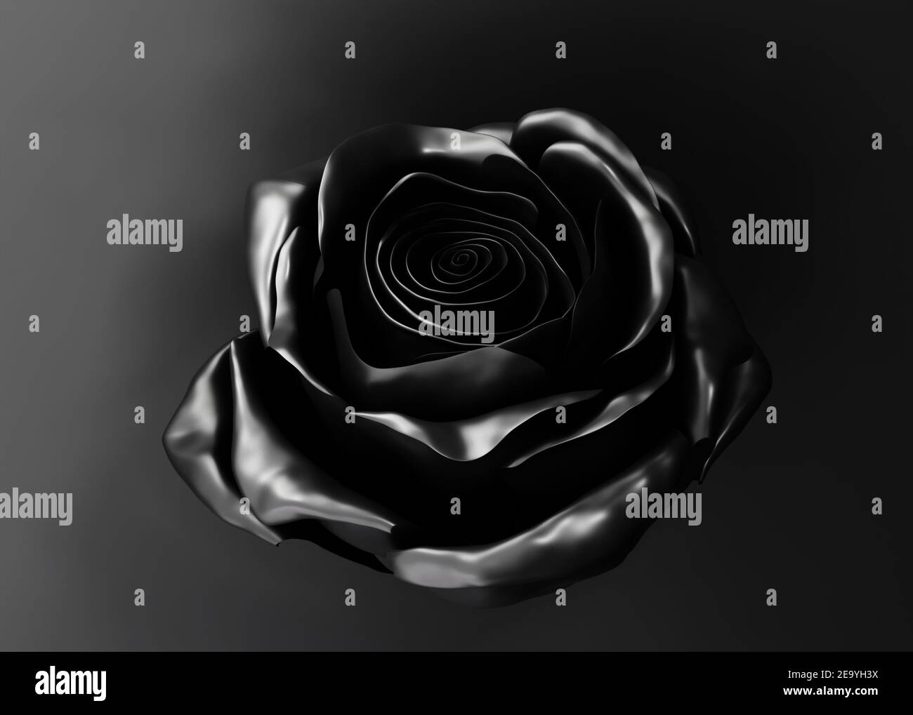 one shiny black rose bud close up on black background, 3d render Stock ...