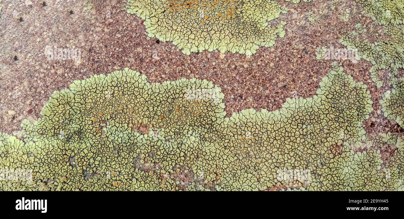 Maroon and green stone marble texture Stock Photo - Alamy