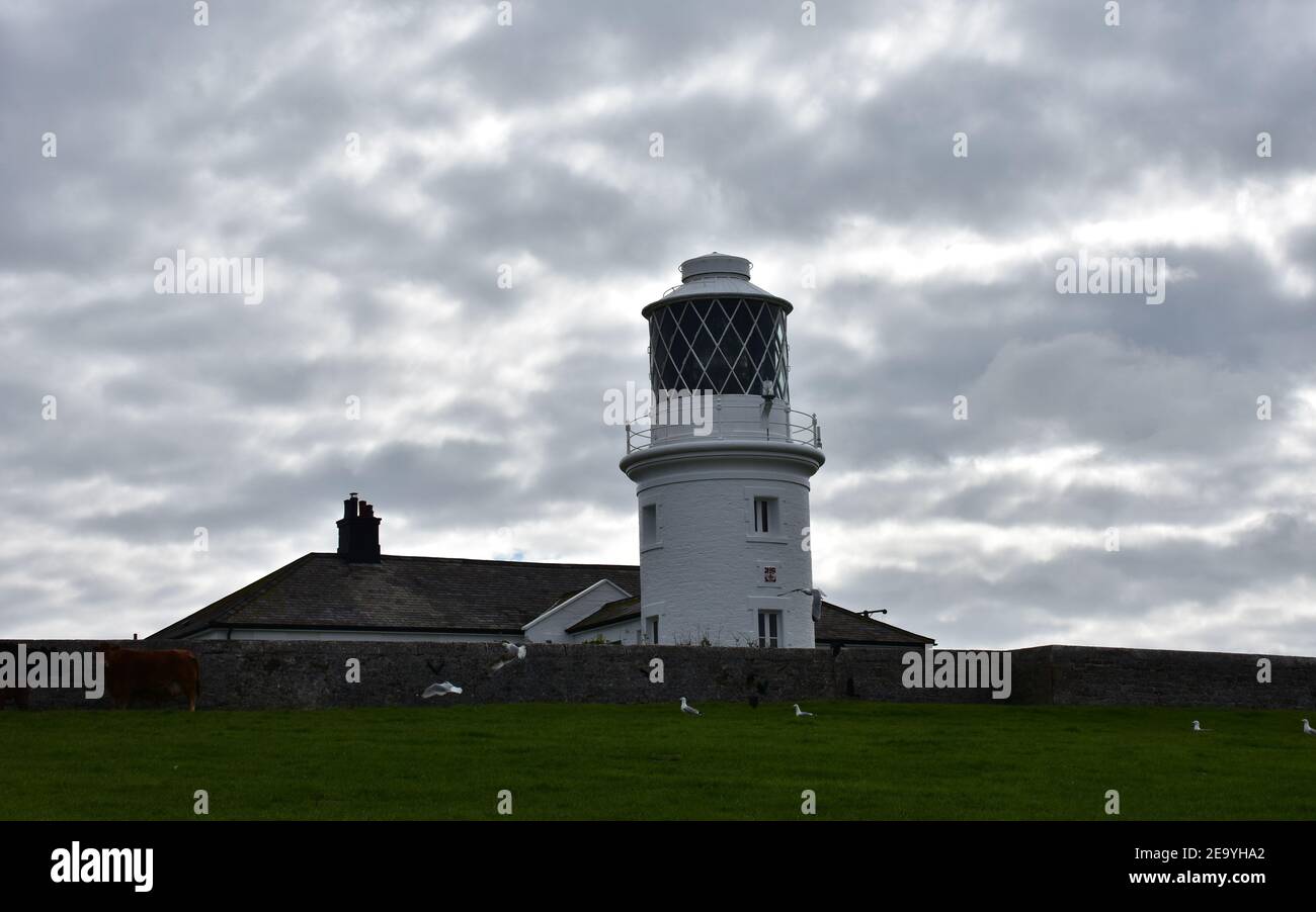 Lighthouse calves hi-res stock photography and images - Alamy