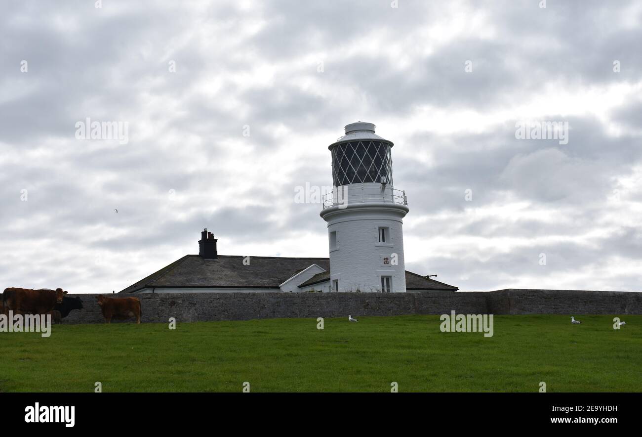 Grass field in front of St Bees Lighthouse in Cumbria England Stock ...