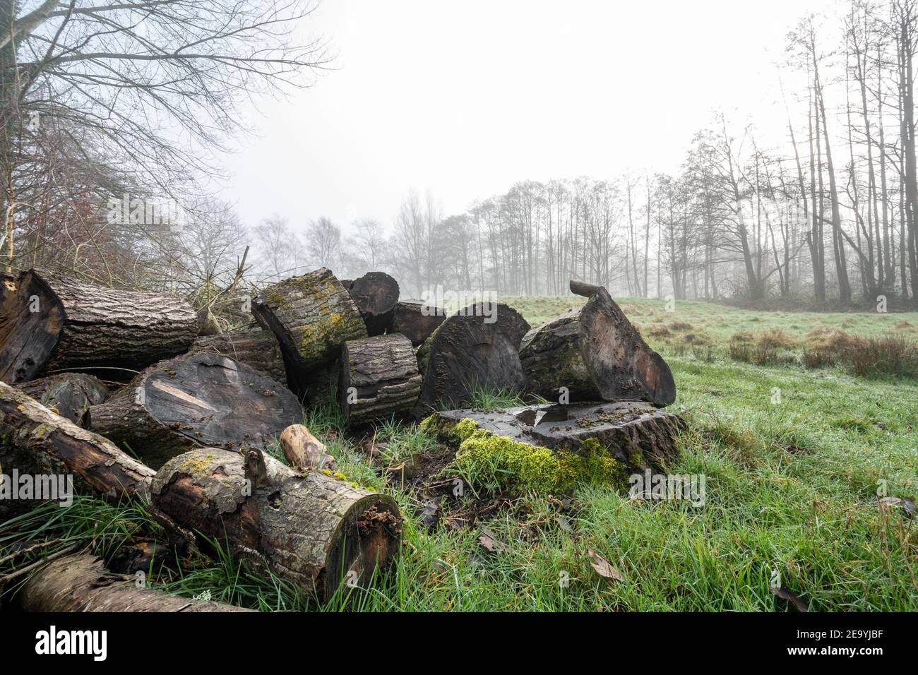 Providing space for wildlife hi-res stock photography and images - Alamy