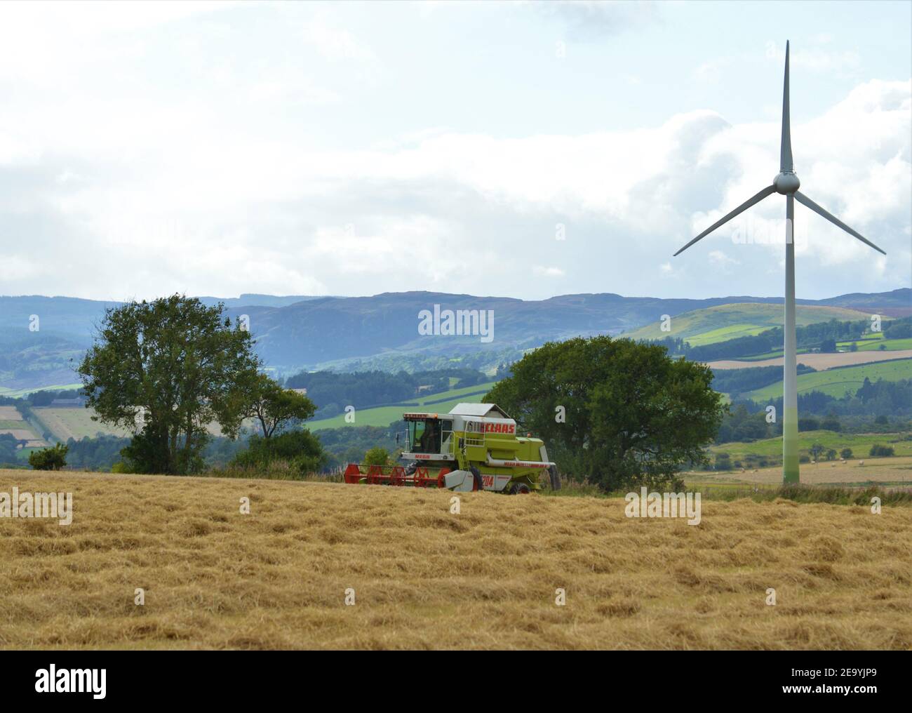 Claas combine harvesting Spring Barley, Maryfield, Blairgowrie ...