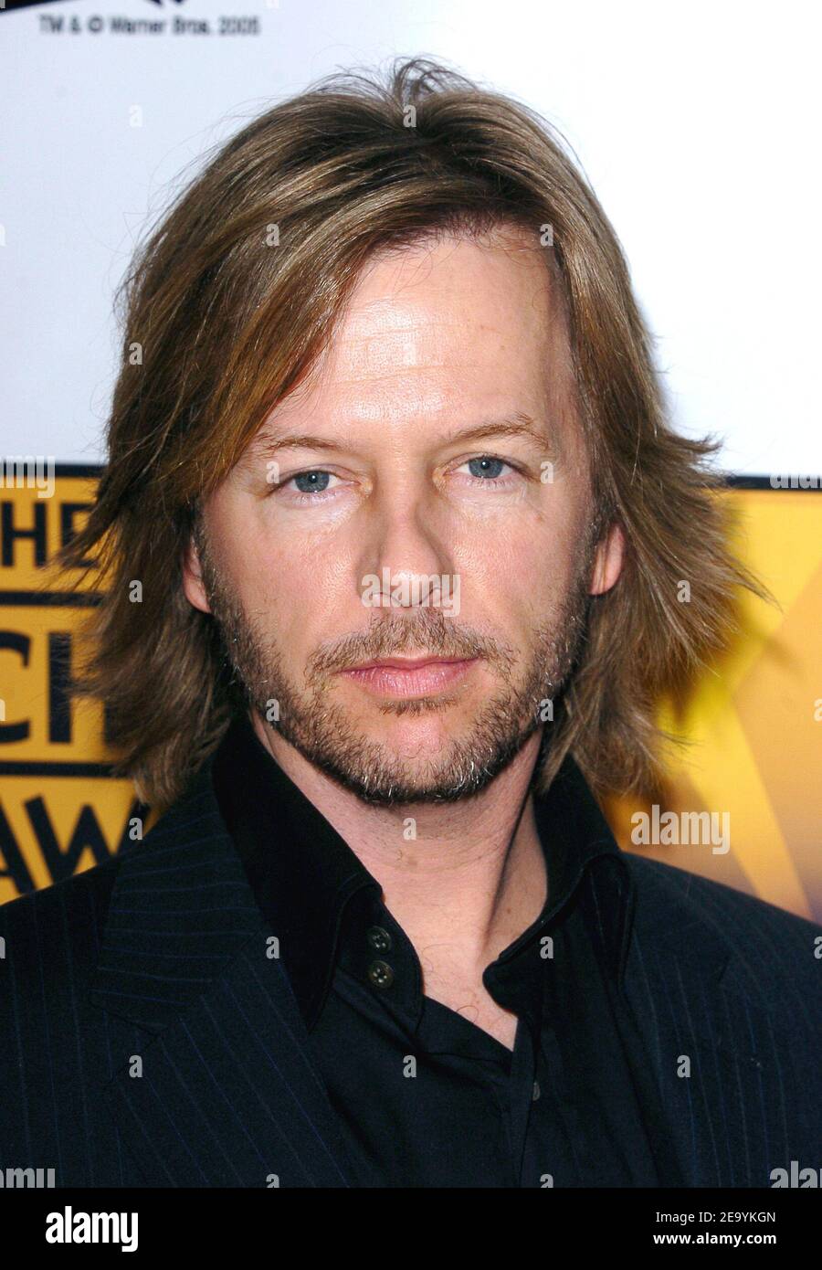 U.S. actor David Spade attends the 10th Annual Critics Choice Awards ...