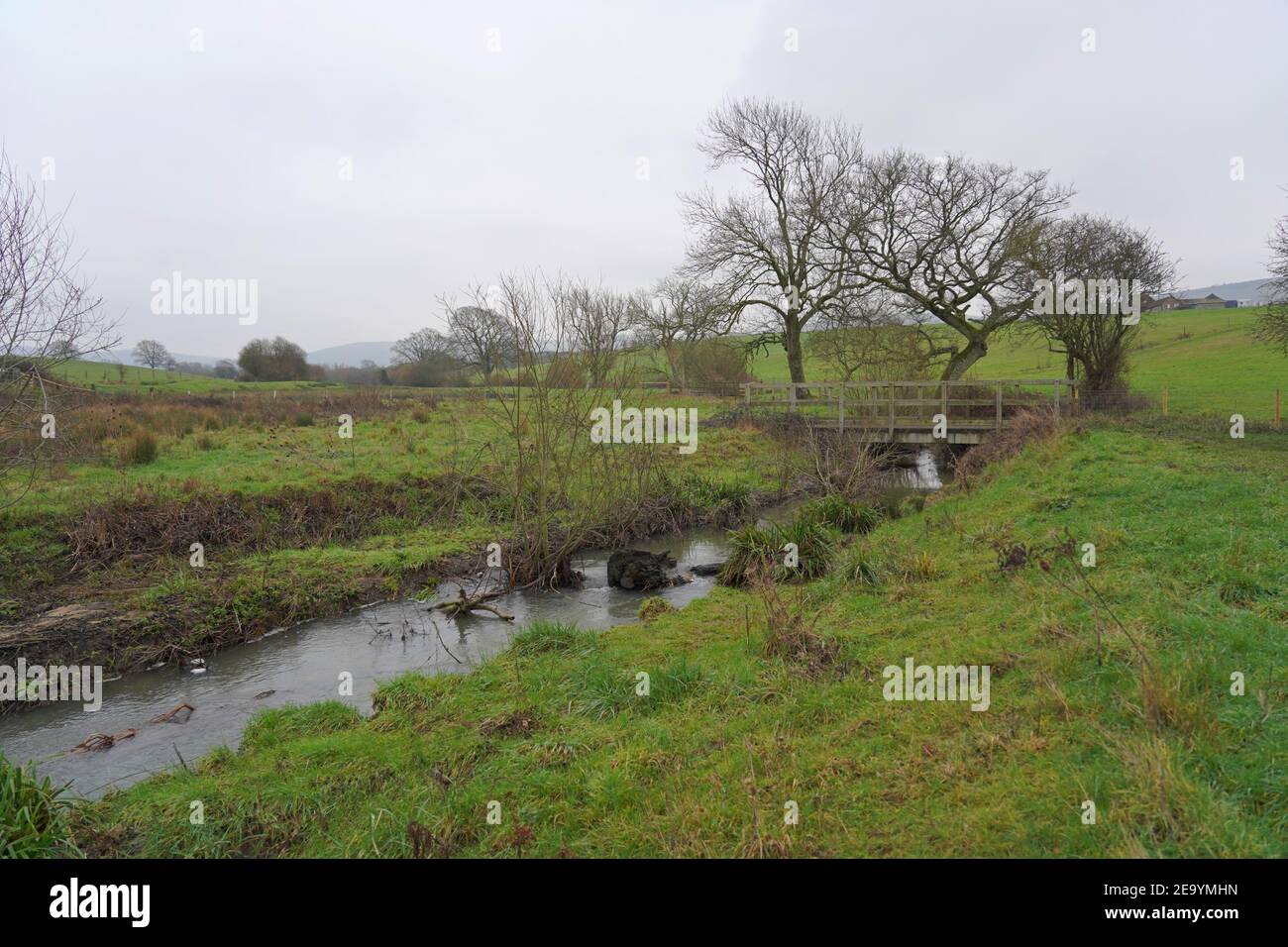 Woods Mill Sussex High Resolution Stock Photography and Images - Alamy