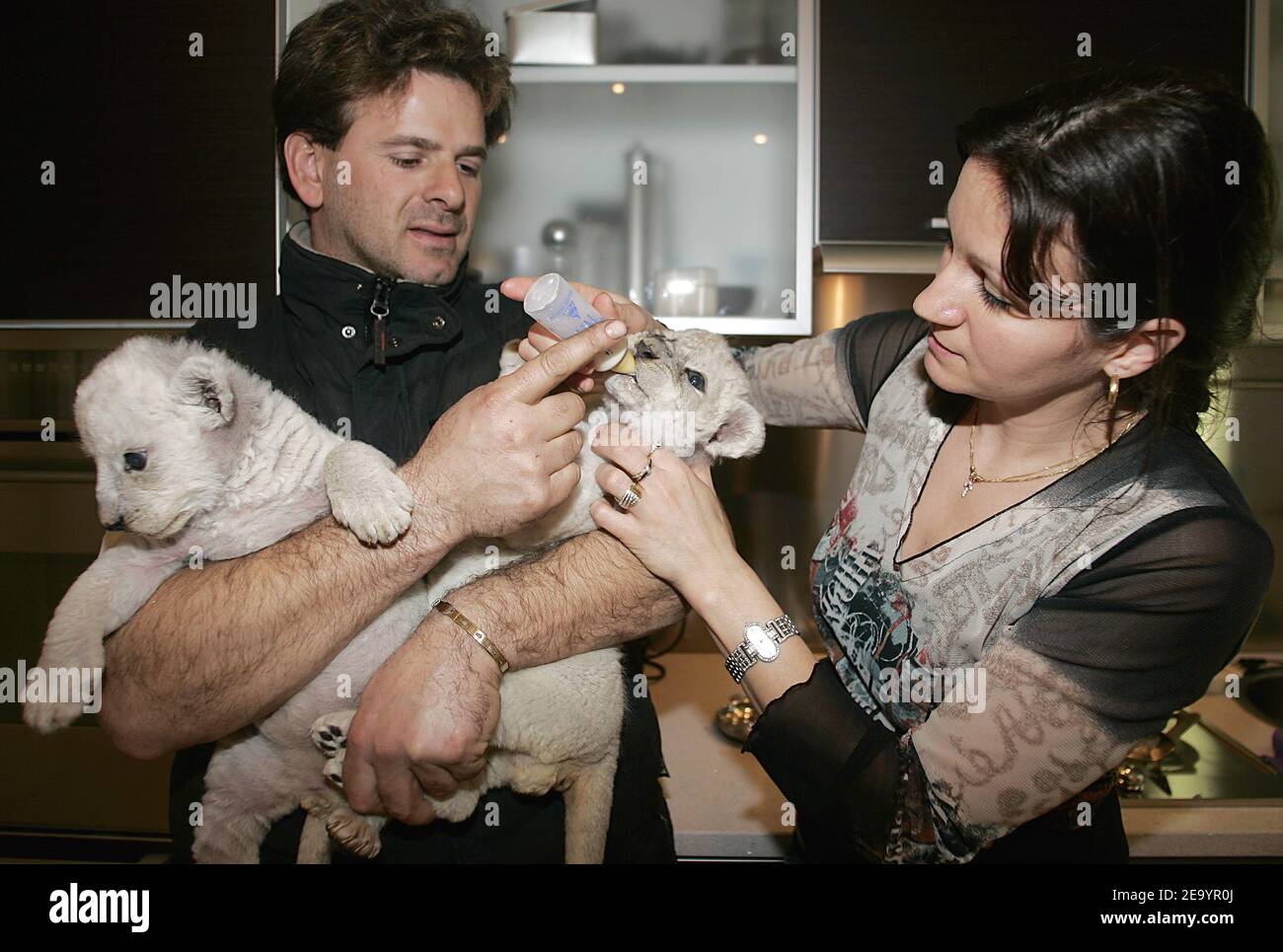 EXCLUSIVE. Lion-tamer Didier Prein and his wife Anika are feeding ...