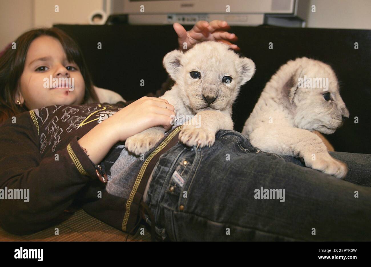 EXCLUSIVE. Lion-tamer Didier Prein's daughter Chiara poses with ...