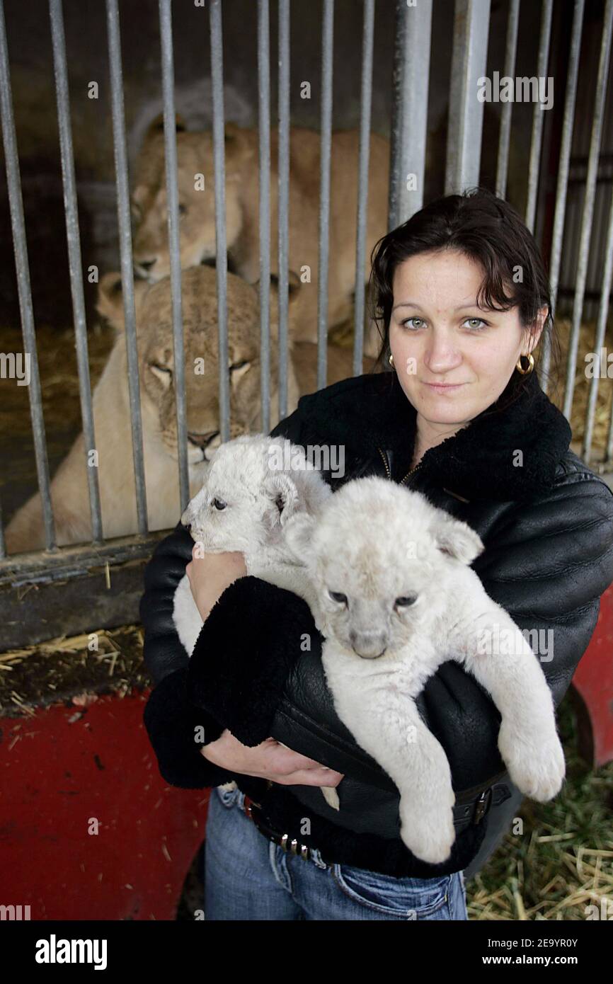 Enfant Lion High Resolution Stock Photography and Images - Alamy