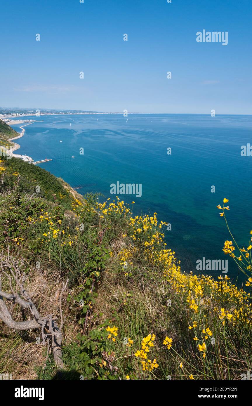 Vertical aerial view of the sea at the Monte San Bartolo, Italy Stock ...