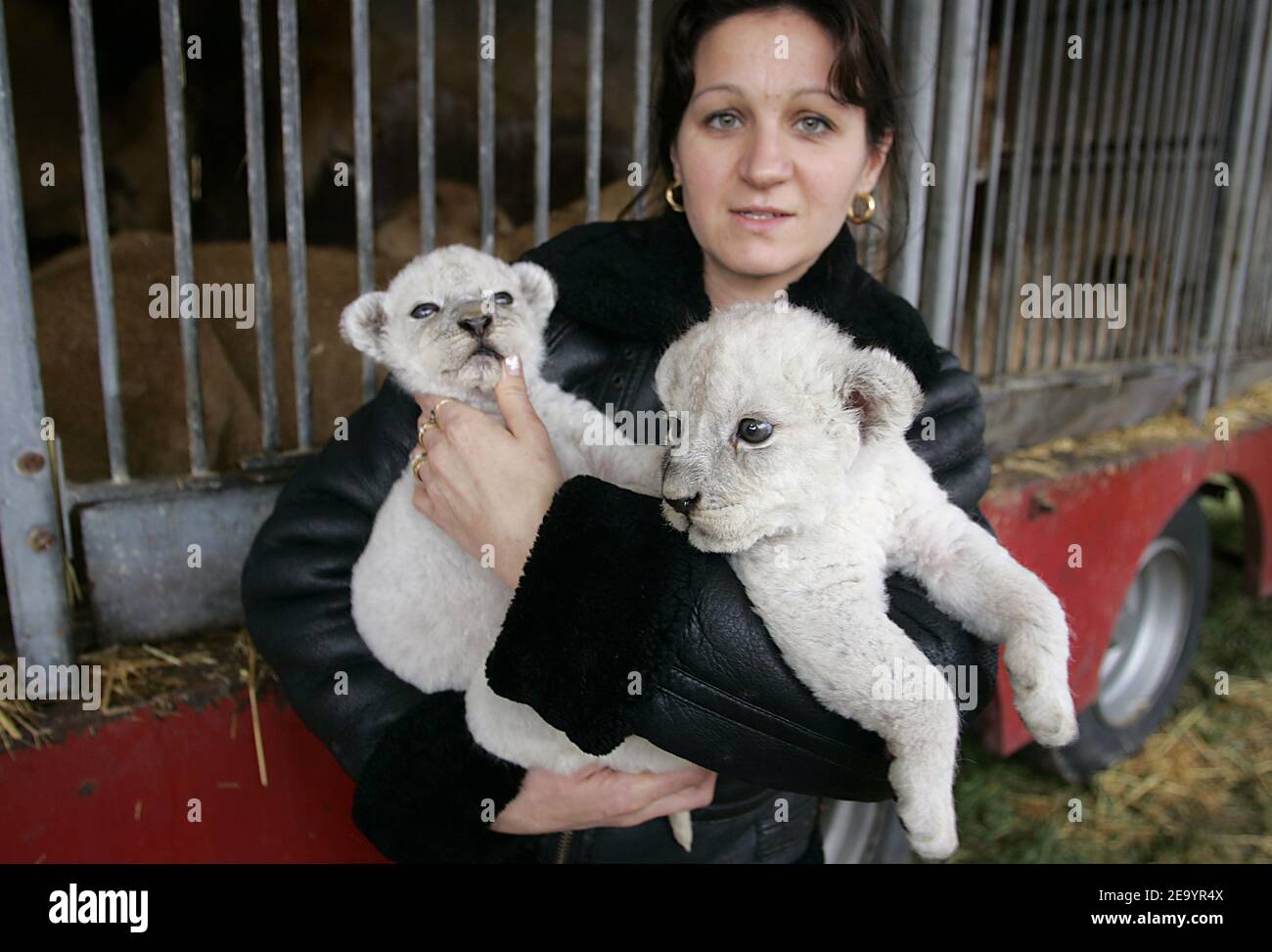 EXCLUSIVE. Lion-tamer Didier Prein's wife Anika poses with 'Empereur ...