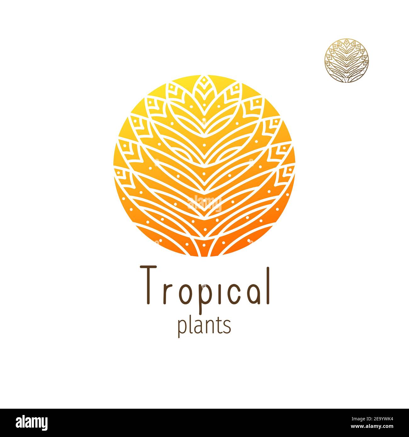 Tropical jungle logo Stock Vector Image & Art - Alamy