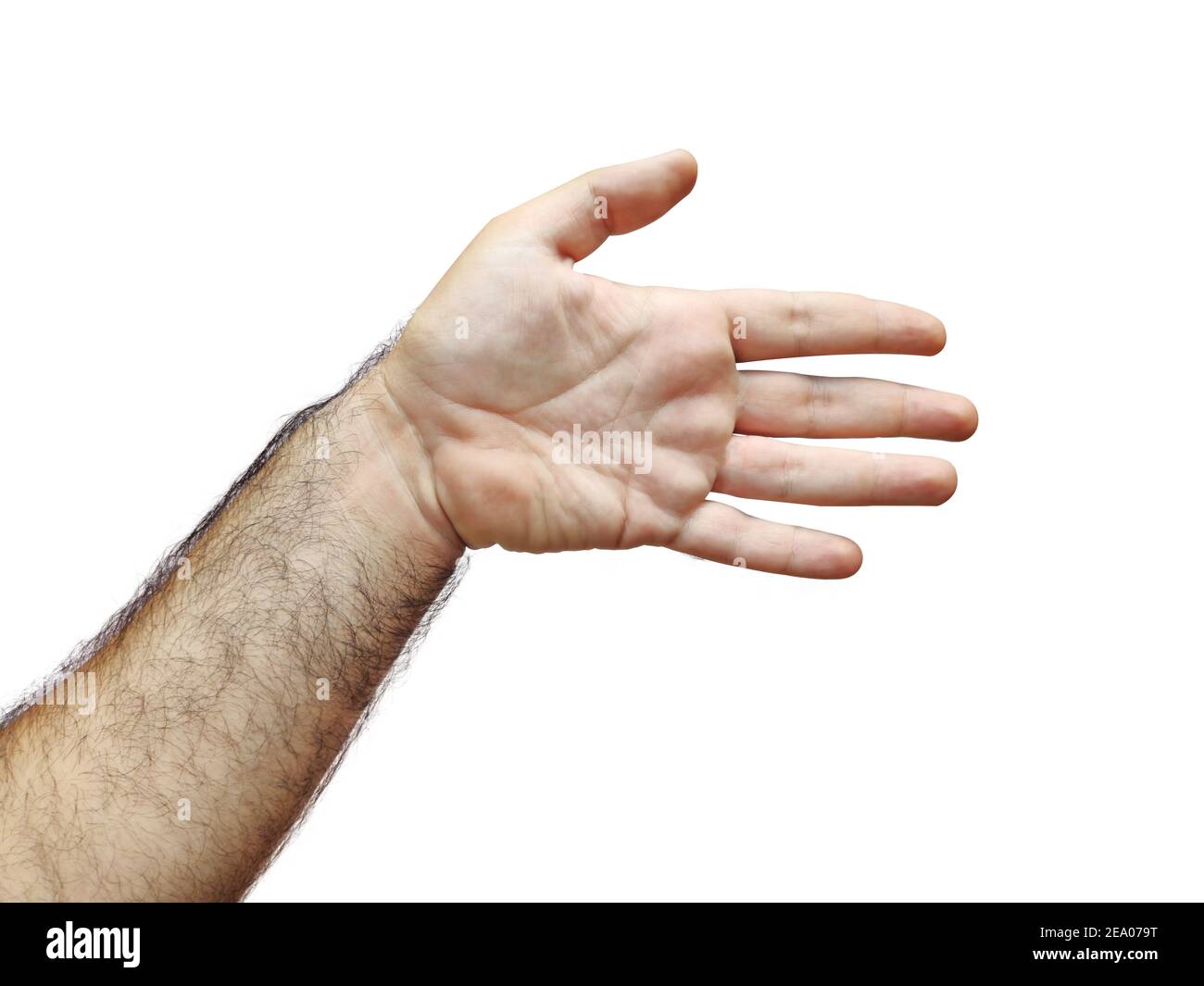 Hand of a male in a greeting position isolated on a white background ...
