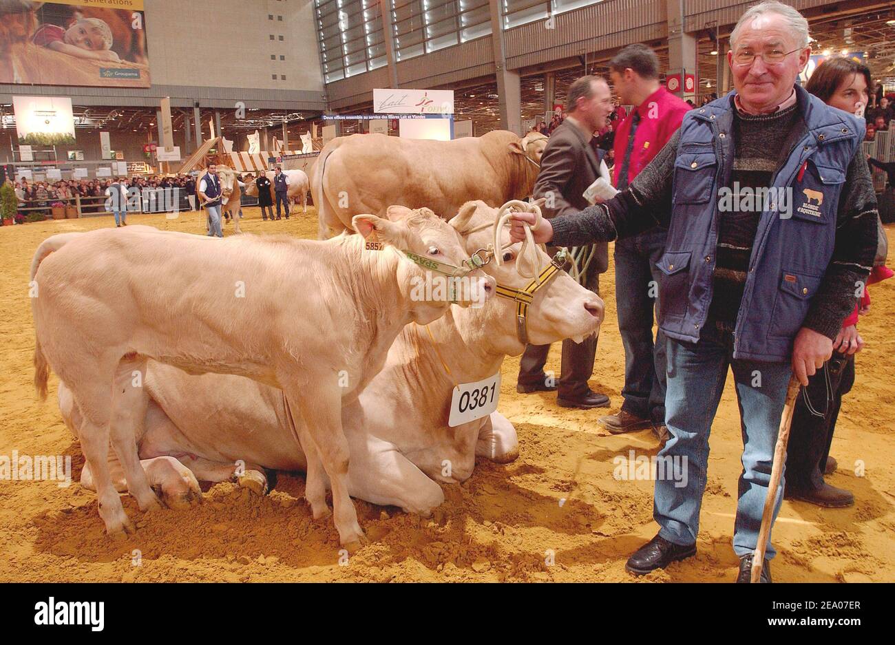A cattle breeder poses with a cow and its calf at the International ...