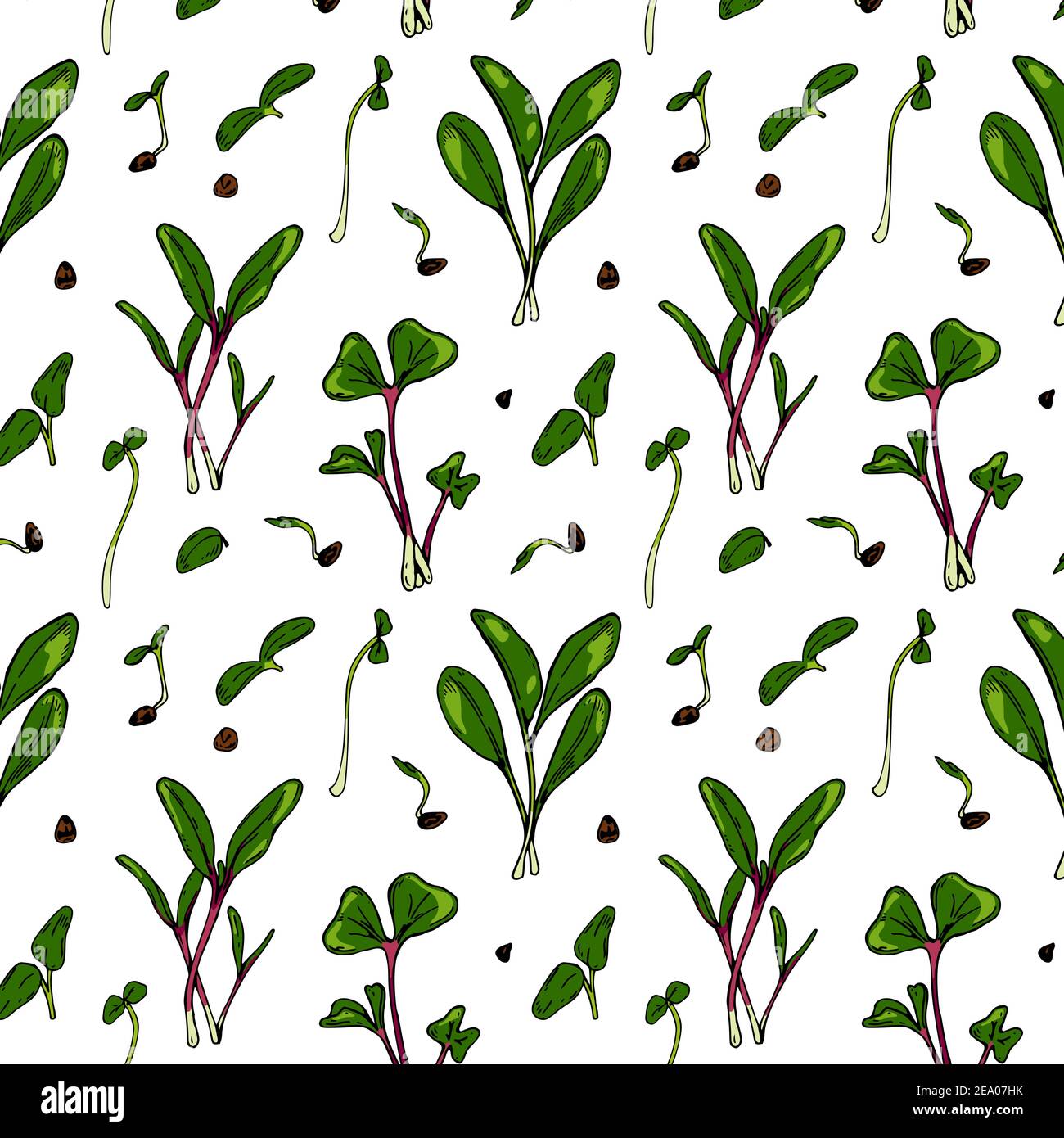 Hand drawn micro greens seamless pattern. Vector illustration in ...
